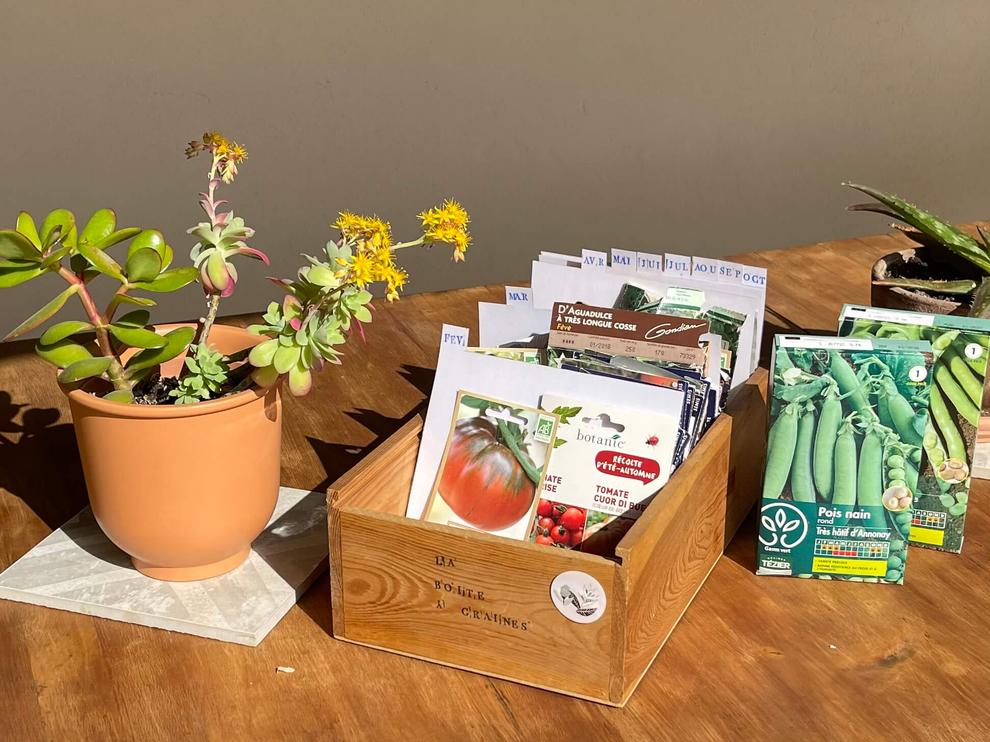 DIY LA BOÎTE À GRAINES : Fabriquer un classeur de semences - Rose Philange